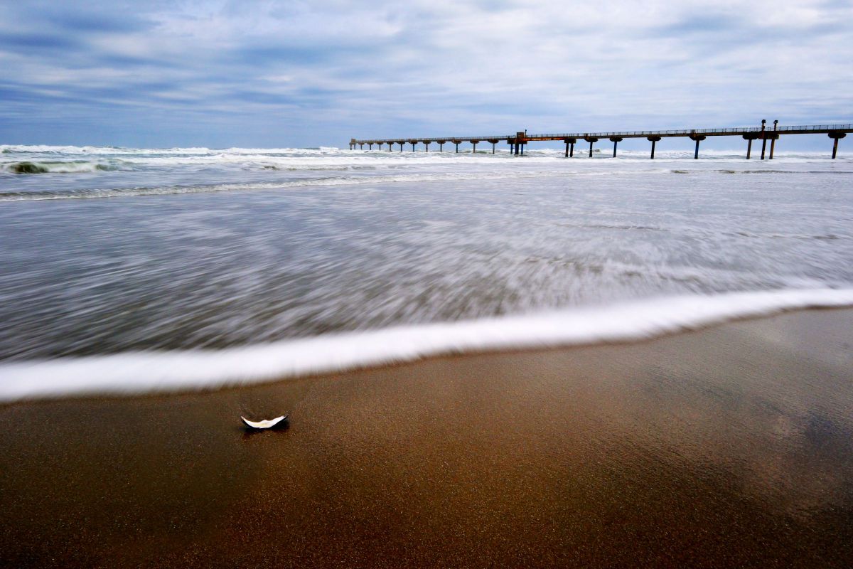 Blowin' in the Wind | GANREF