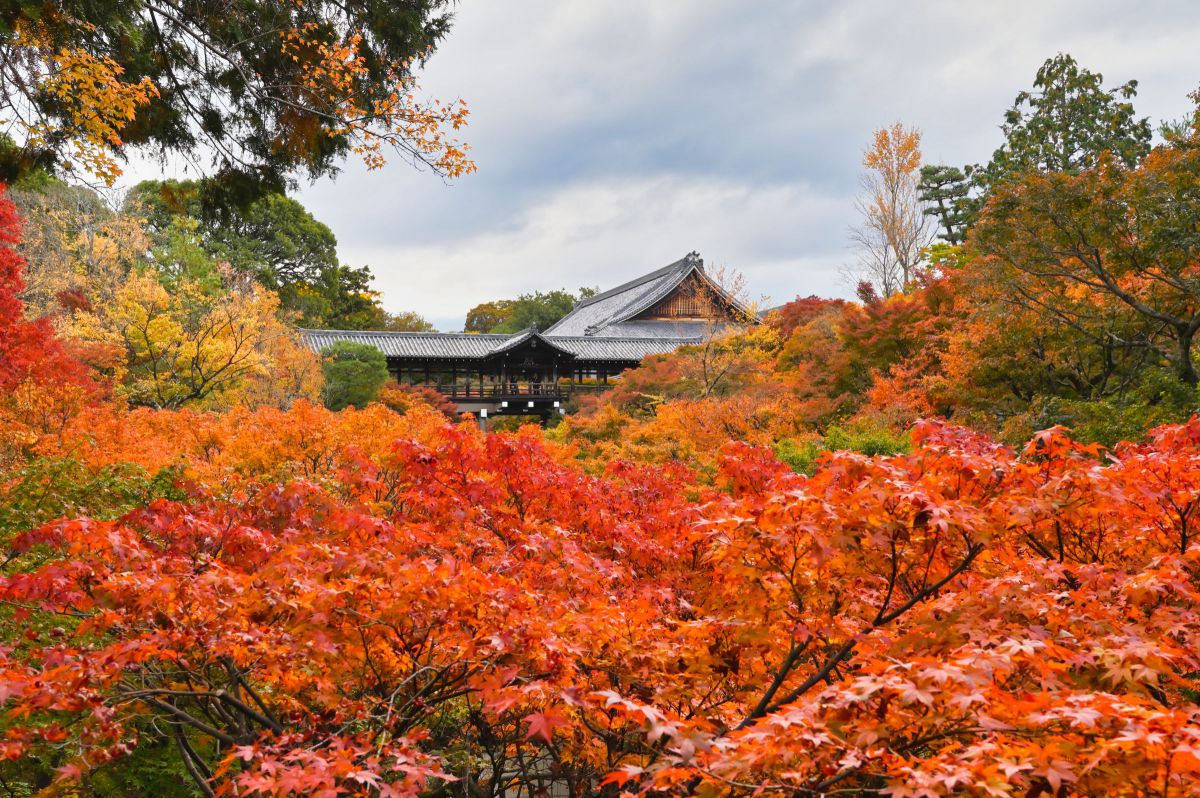 Tsutenkyo Bridge at Tofukuji Temple | GANREF