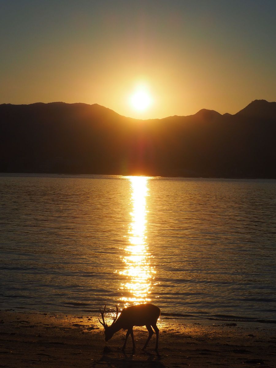 Sunset light trail | GANREF