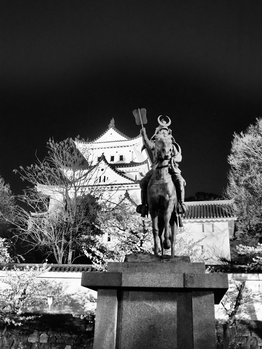 Go into battle | GANREF