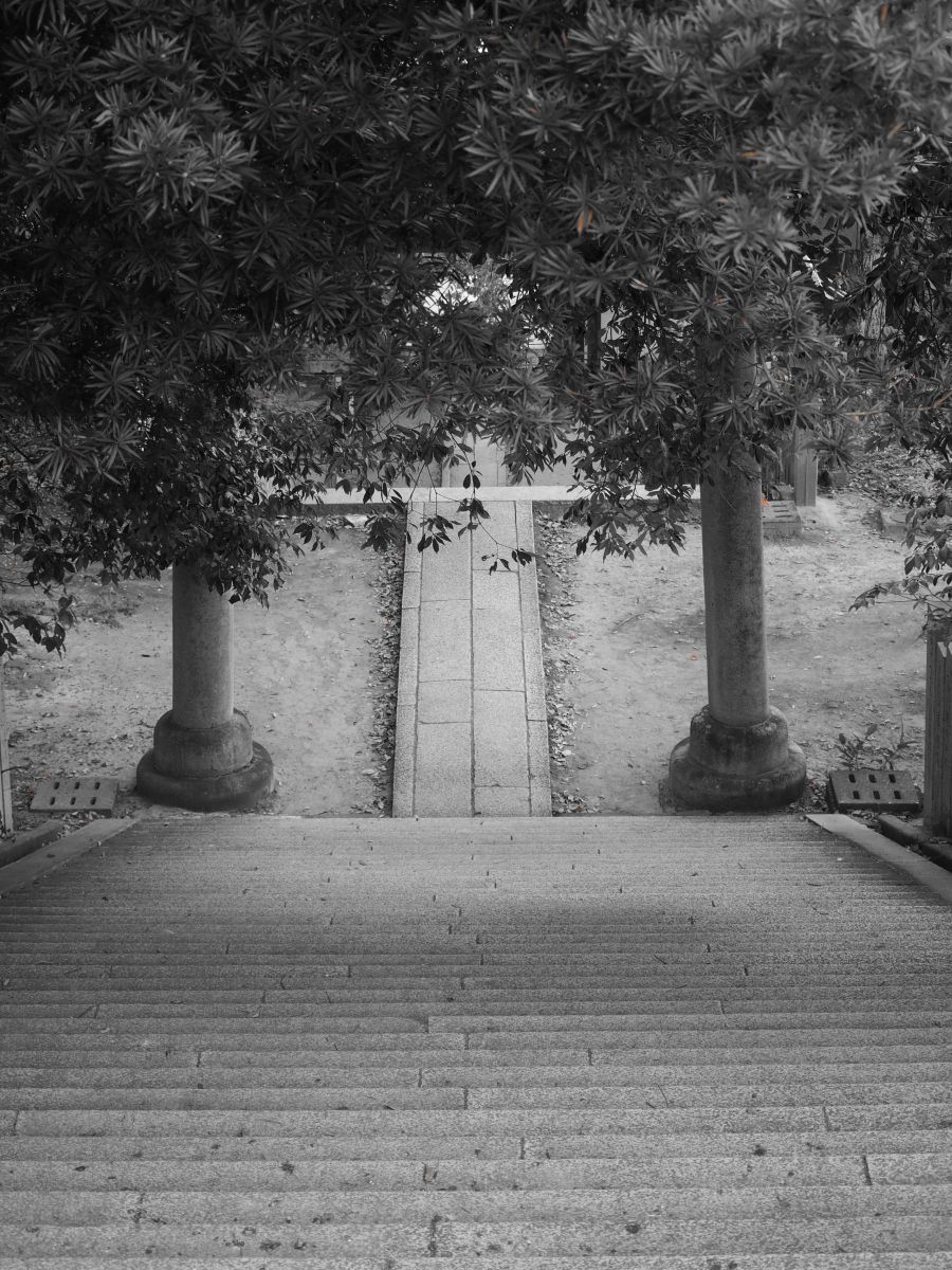 Torii gate surrounded by trees | GANREF