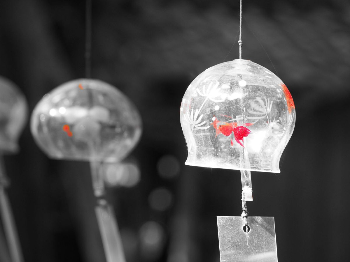 Goldfish in a wind chime | GANREF