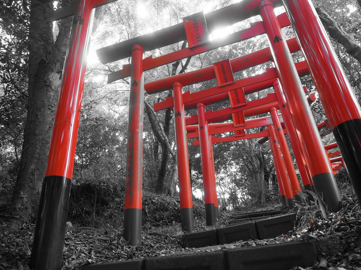 red torii gate | GANREF
