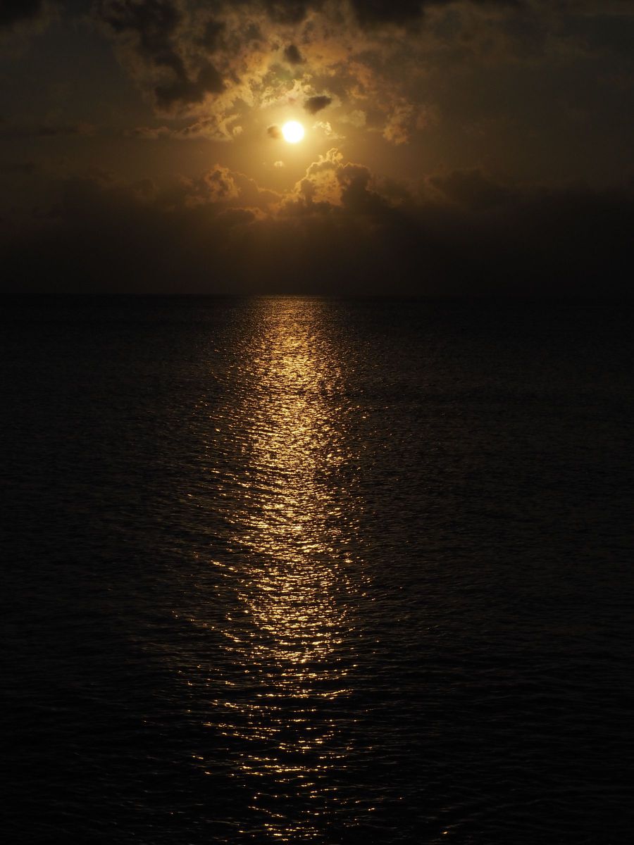 path of the sun | GANREF