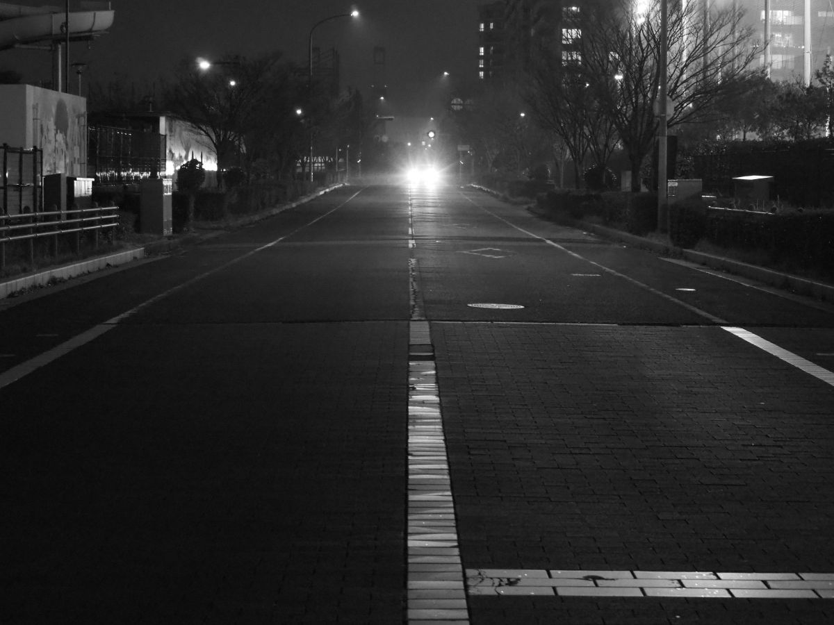 in the middle of the road at night | GANREF