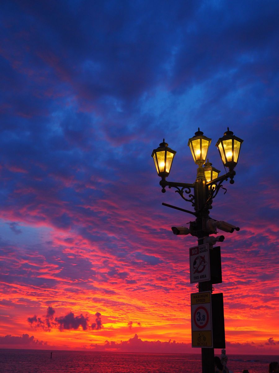 Illuminating the crimson sky | GANREF