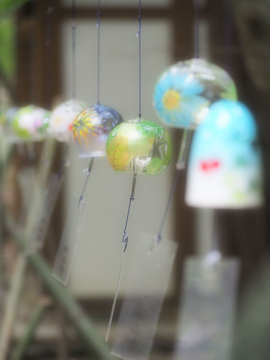 looking for coolness | GANREF