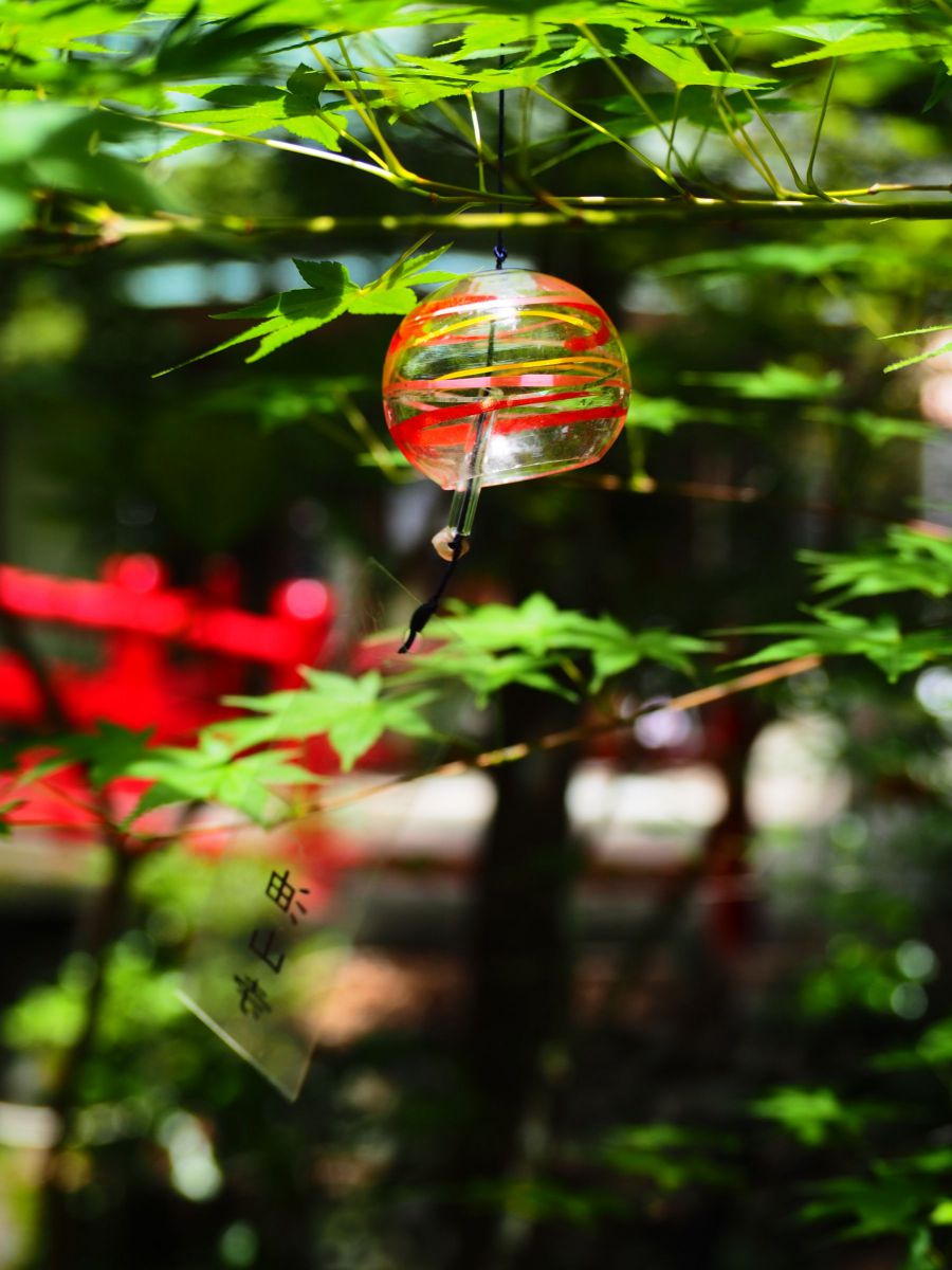 Looking for a moment of coolness | GANREF