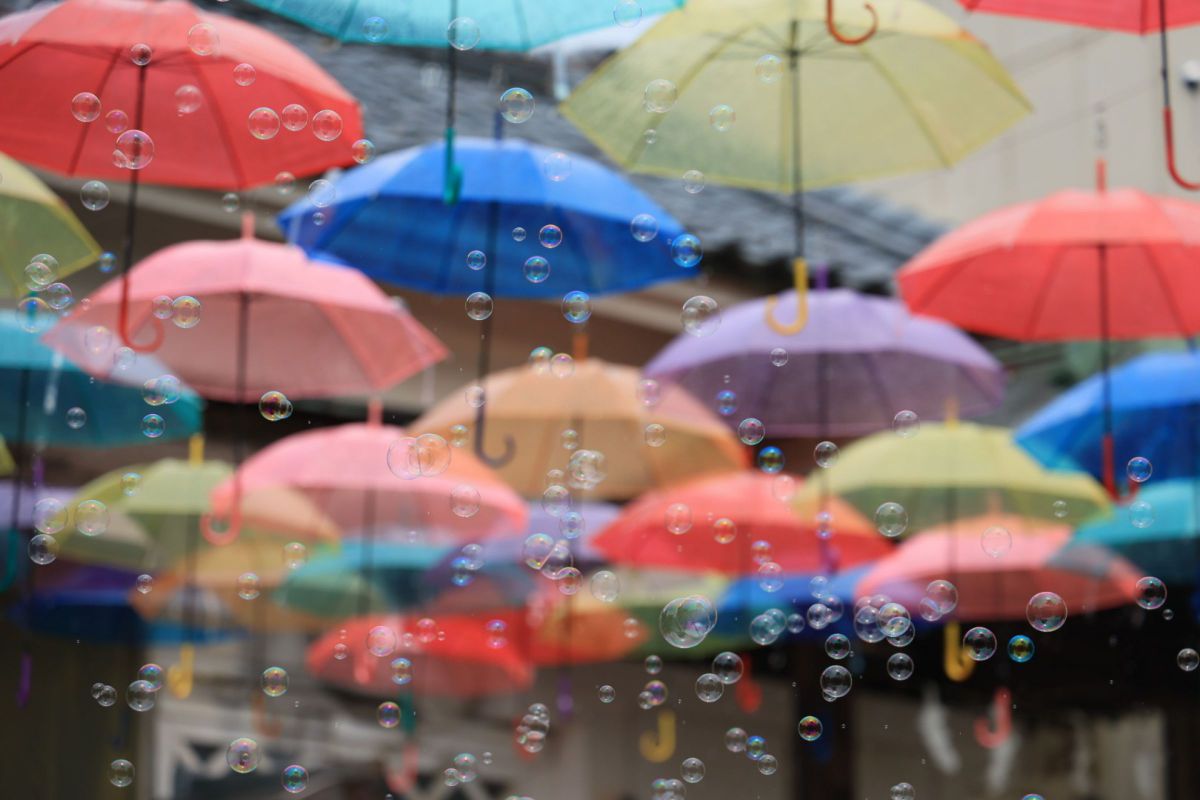 vivid color | GANREF