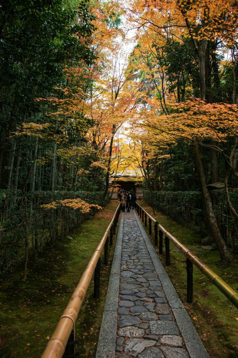 京の秋 18 | GANREF