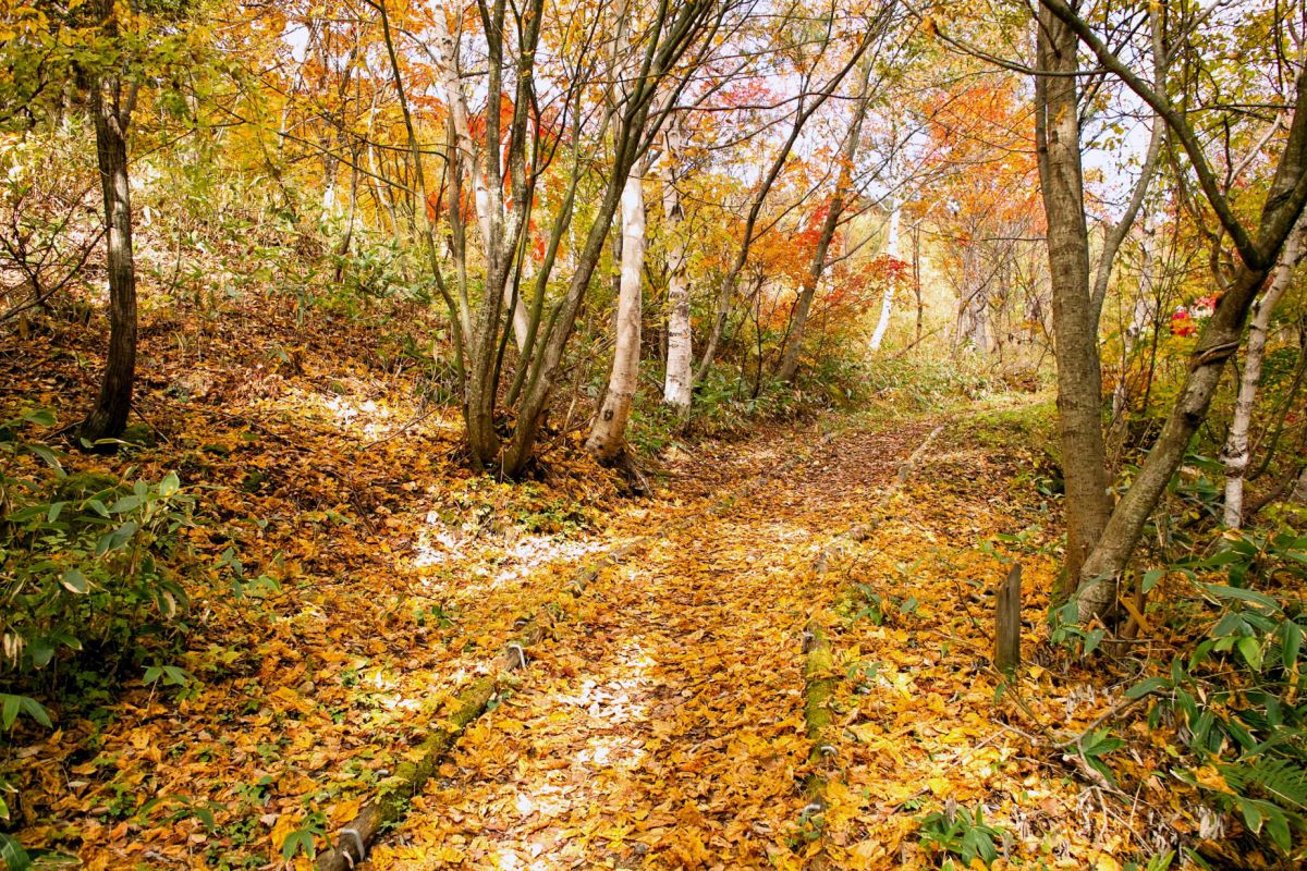 志賀秋旅2011（1） | GANREF