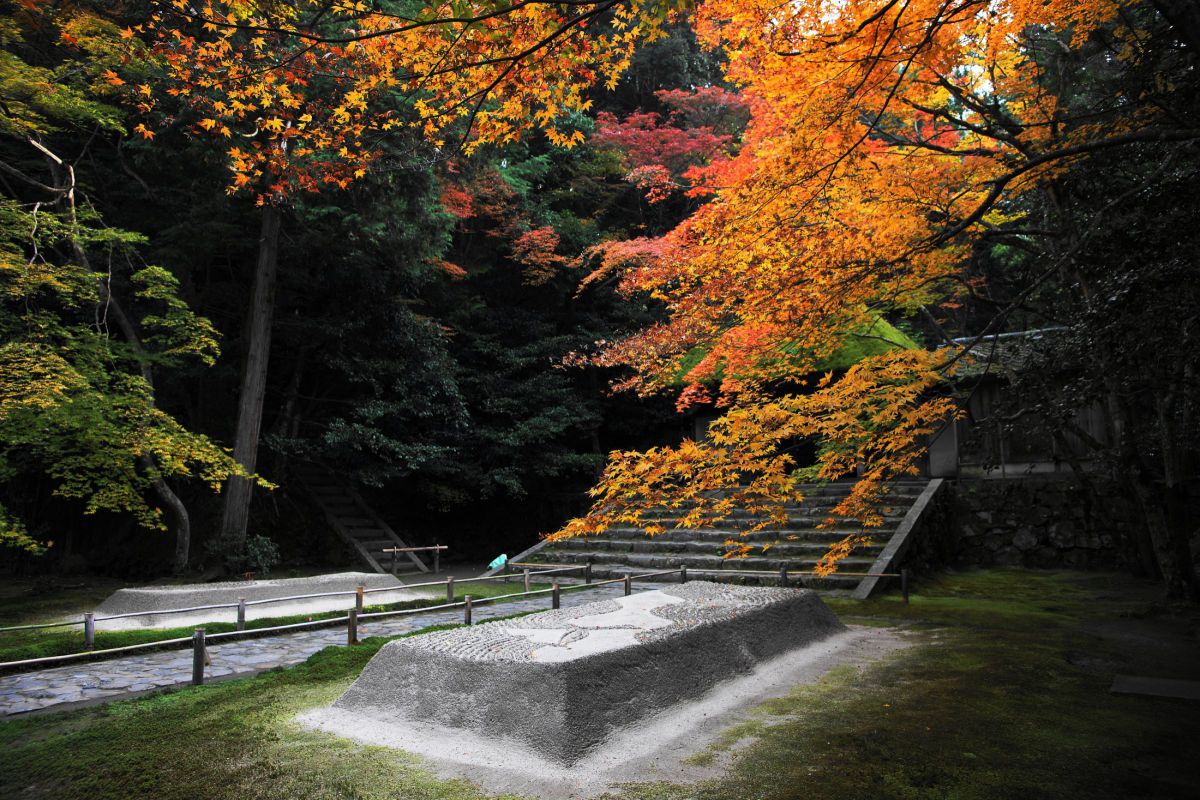 京の秋 7 | GANREF