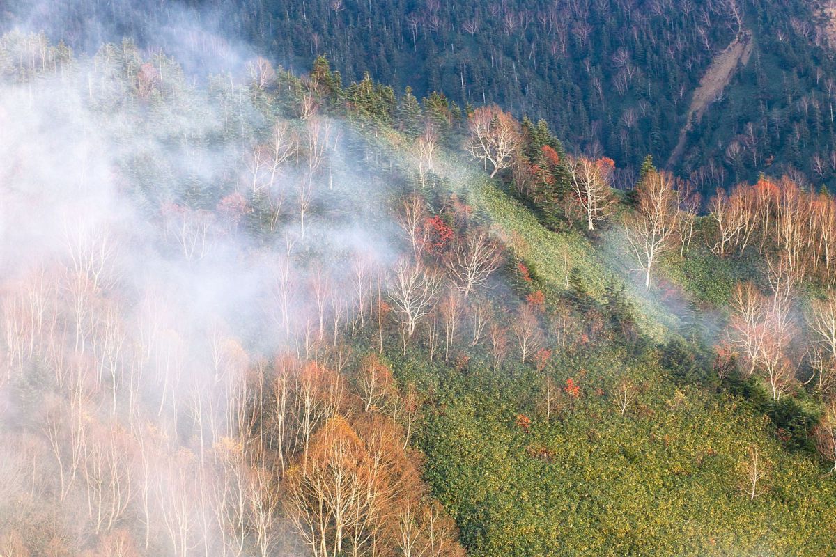 志賀秋旅2011（13） | GANREF