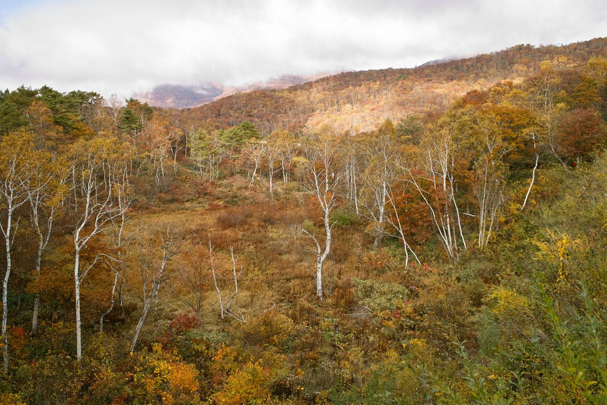 志賀秋旅2011（2） | GANREF