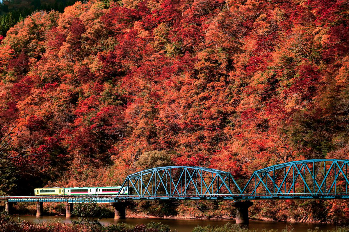 只見第八橋梁 | GANREF