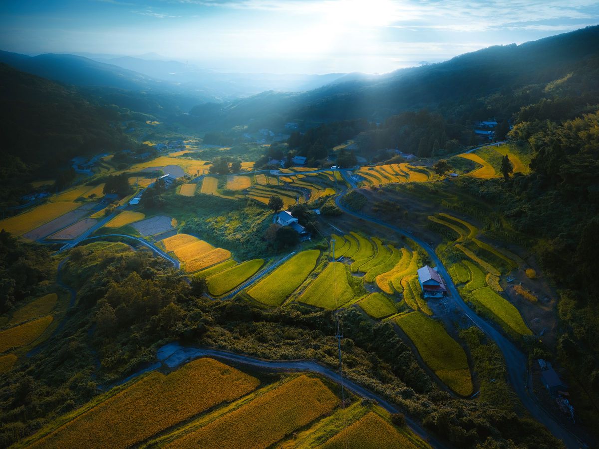 室谷の棚田 | GANREF