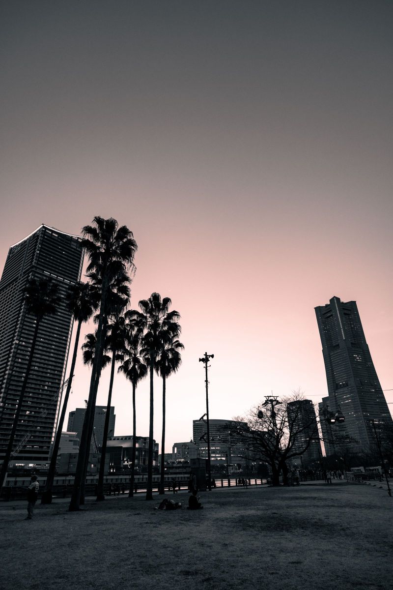 monochrome city | GANREF