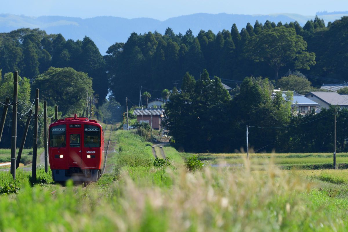 復活のrail | GANREF
