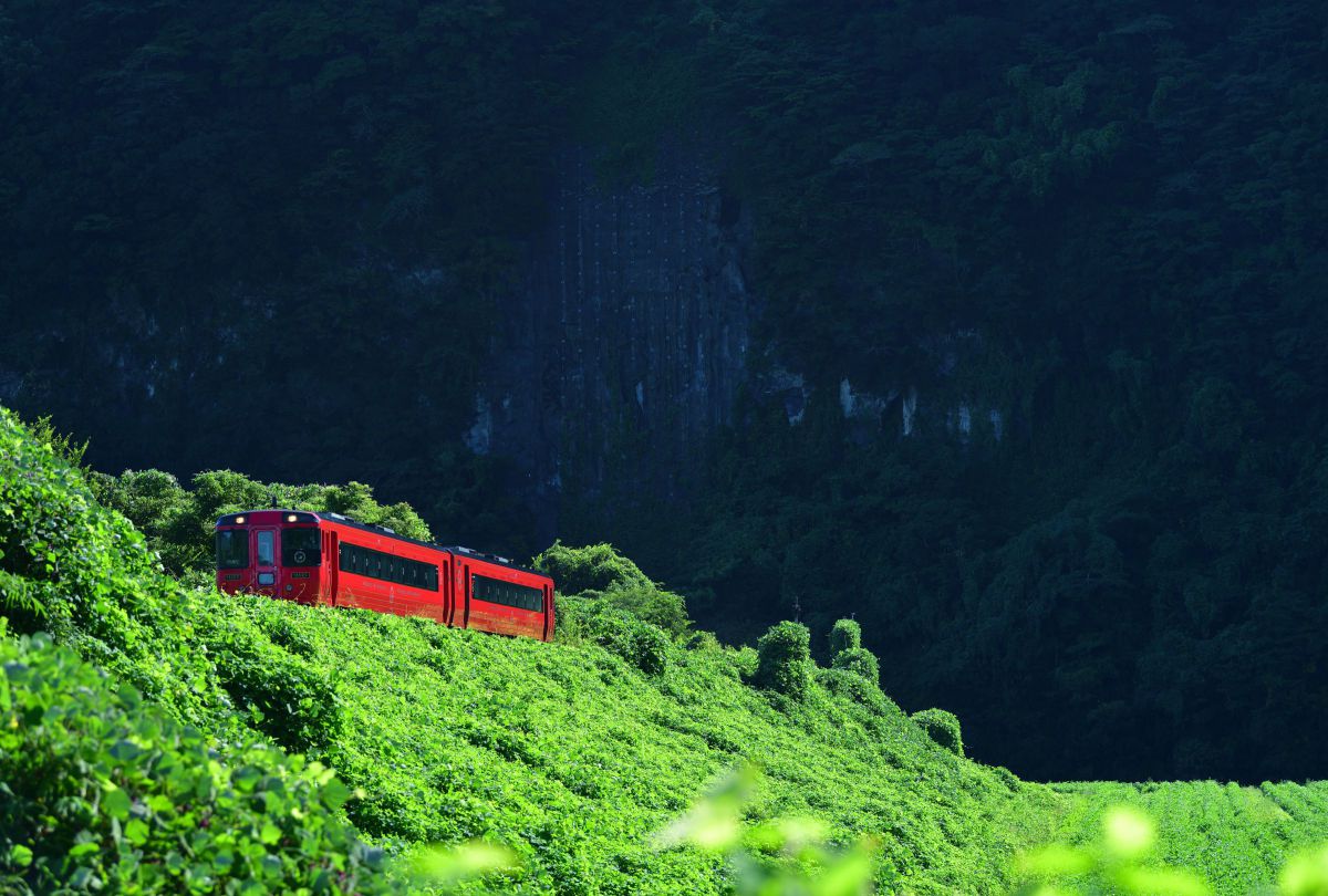 Green＆Red | GANREF