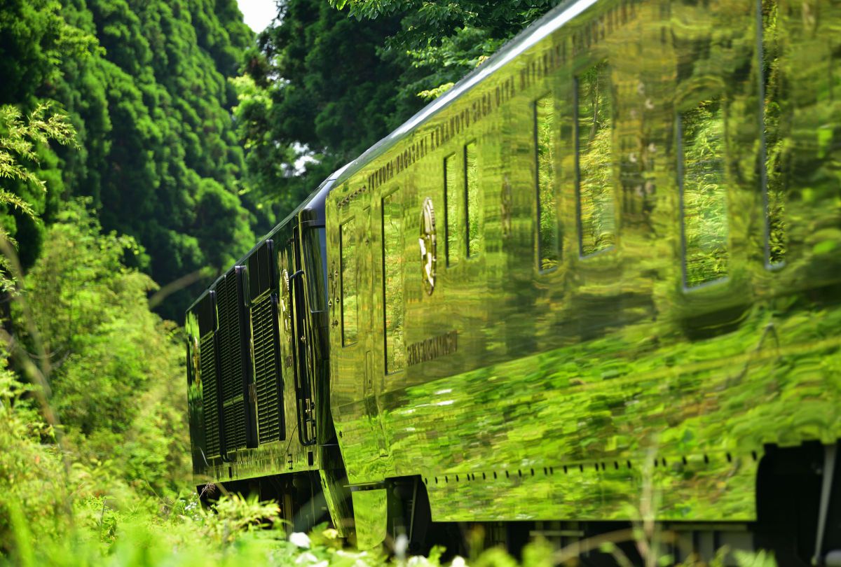 MIDORI reflection | GANREF