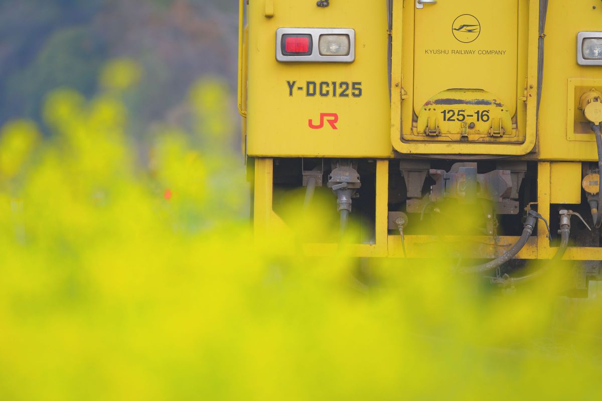 春はyellow | GANREF