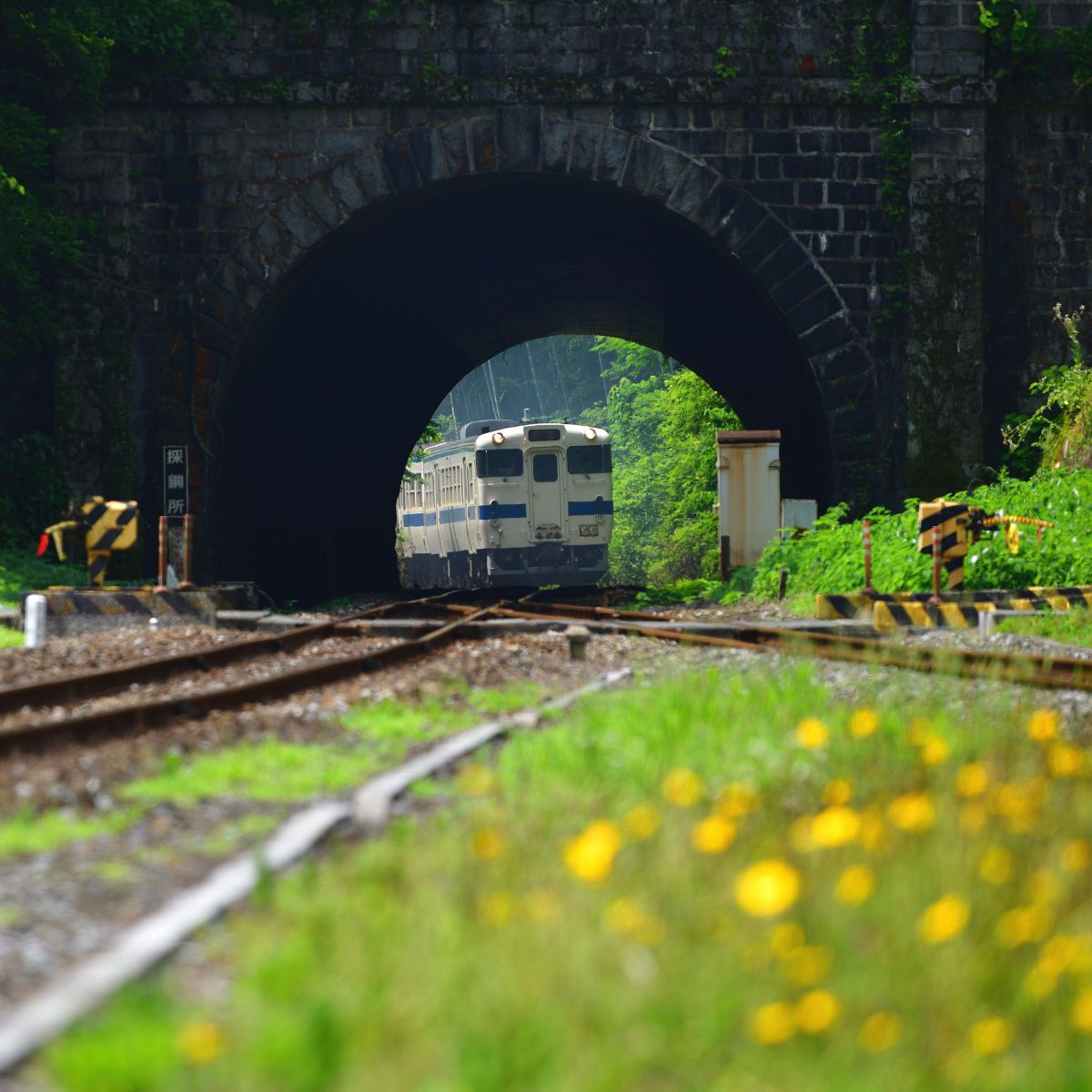 Time Tunnel | GANREF