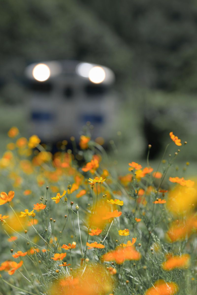 Orange railroad | GANREF