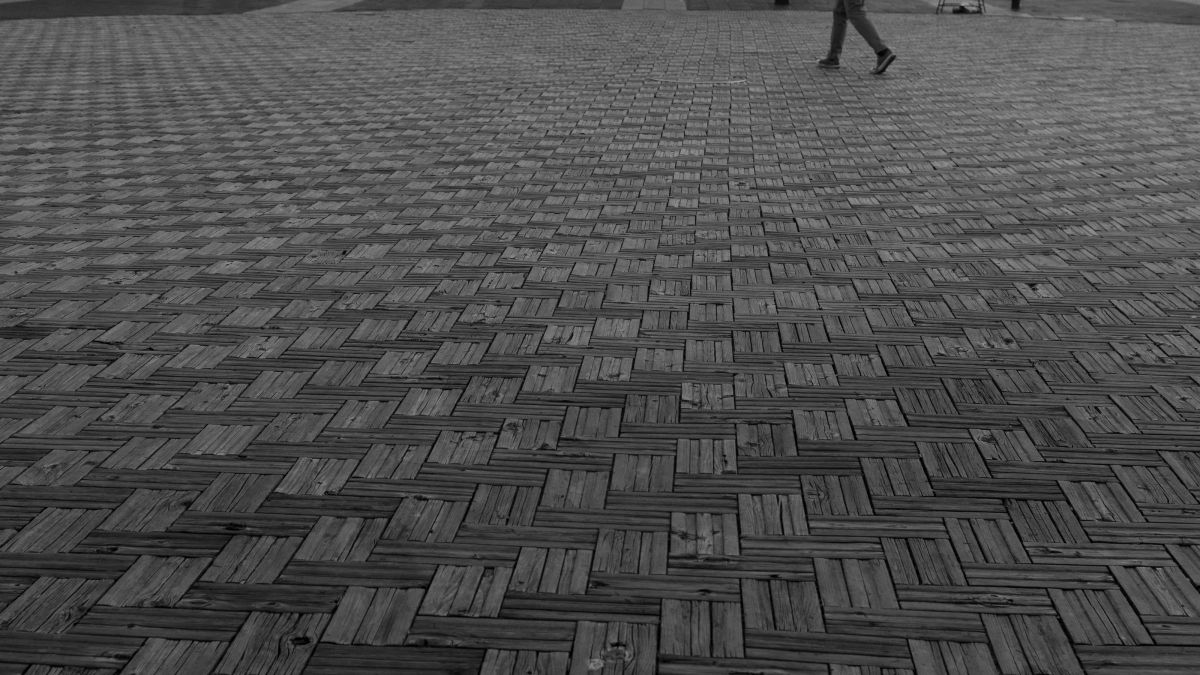 wood ground. | GANREF