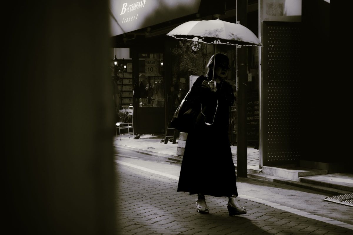 「elegant lady」 | GANREF