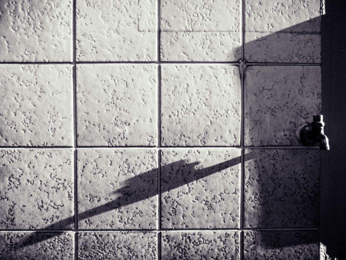 Stretching Shadow. | GANREF