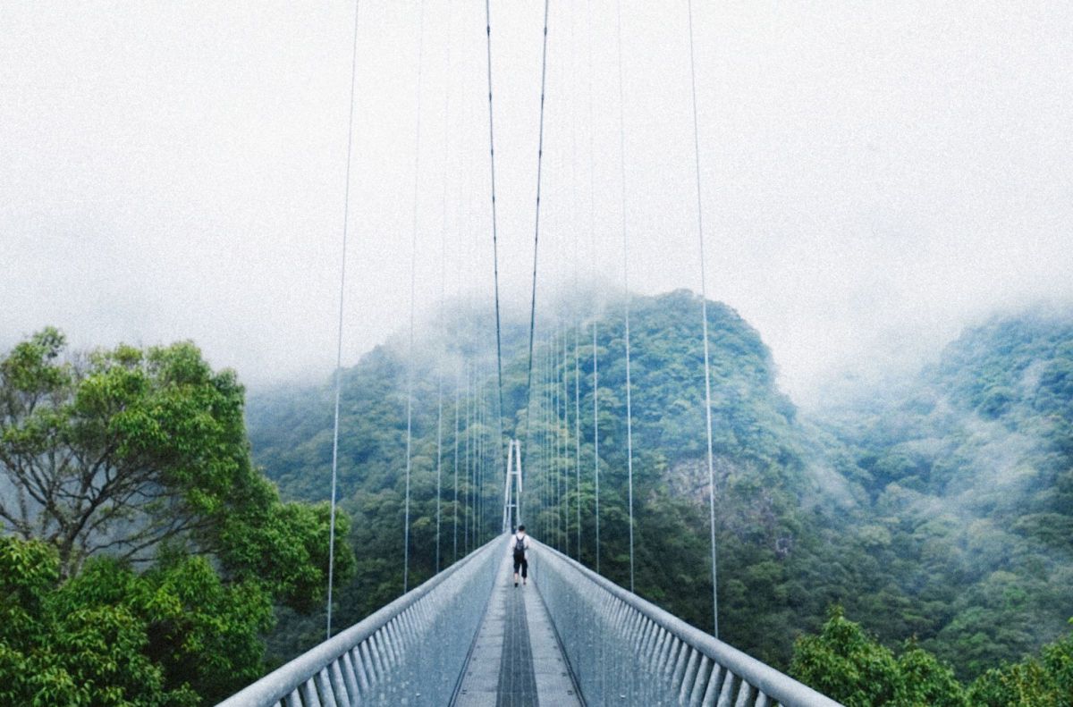 Suspension bridge | GANREF