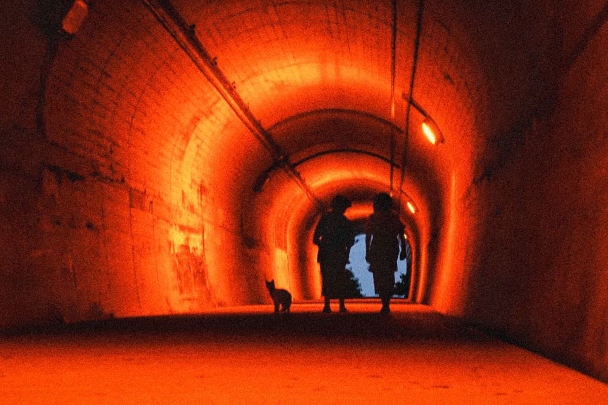 To the future | GANREF