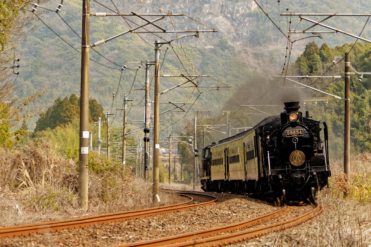 のぼり坂ガンバる、SL人吉 | GANREF