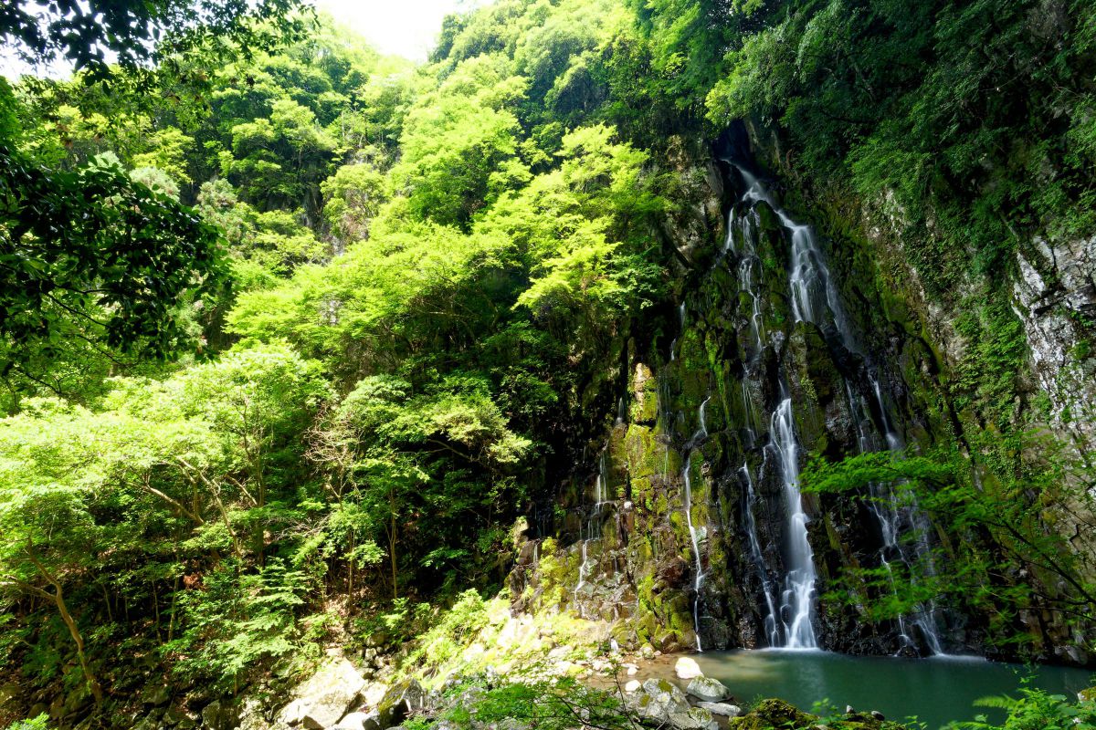 Silent falls | GANREF