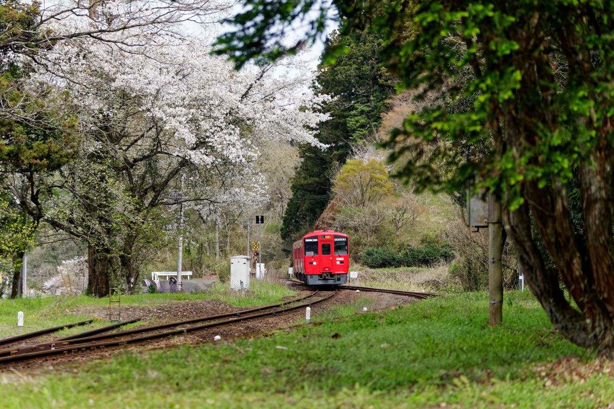 入って来る | GANREF