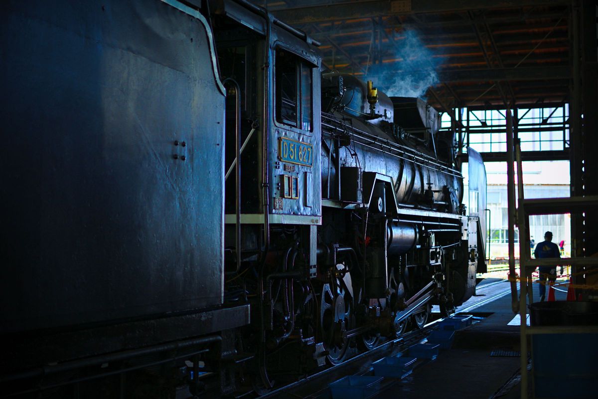 令和のD51 | GANREF