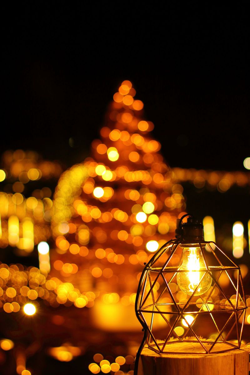 Jack-o'-Lantern | GANREF