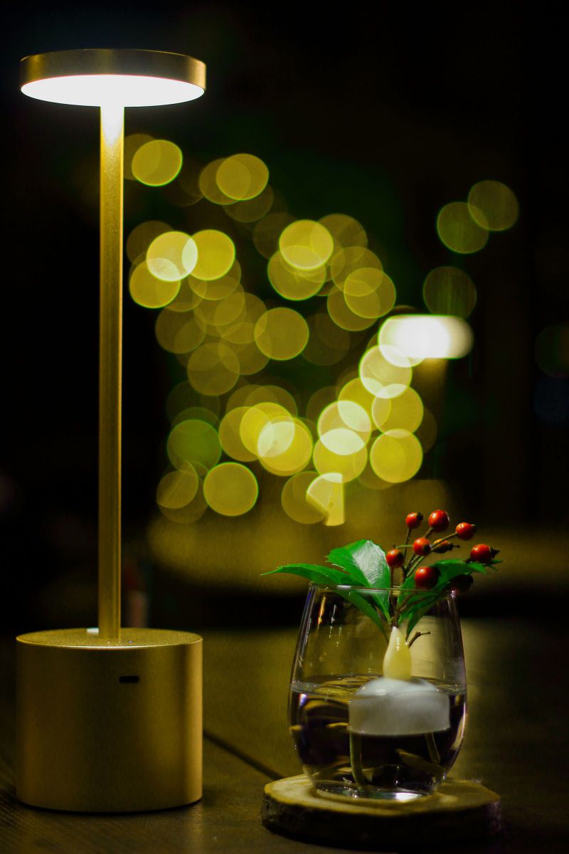 dandyに、 | GANREF