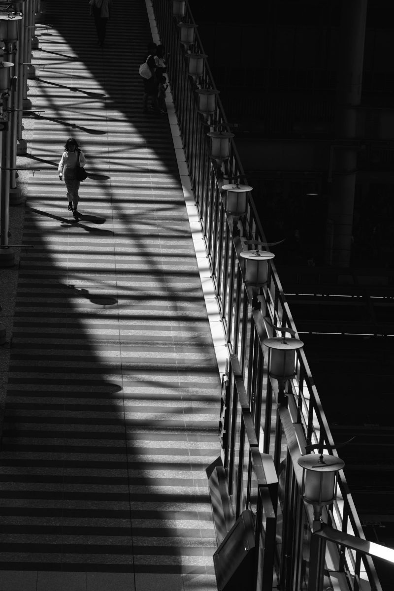 Shadows and Light | GANREF