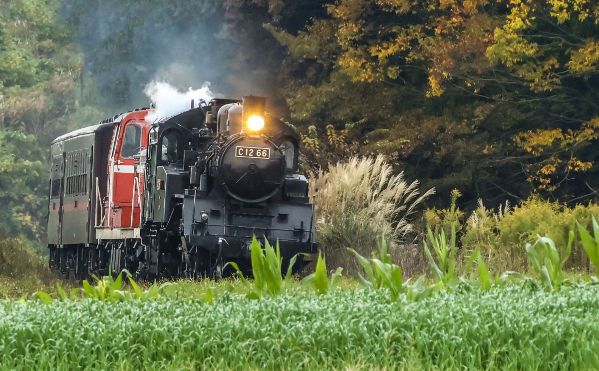 秋を駆ける SL DL | GANREF