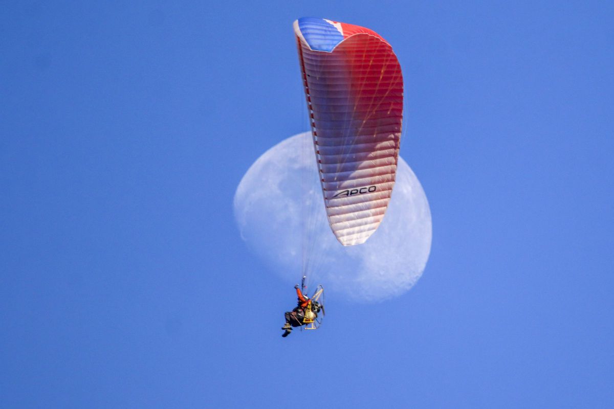 moon flight | GANREF