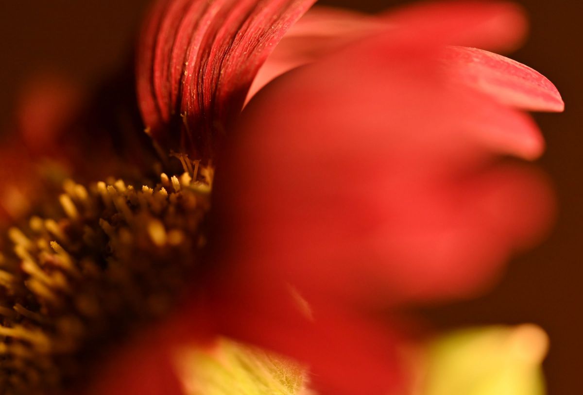 Love is funny. | GANREF