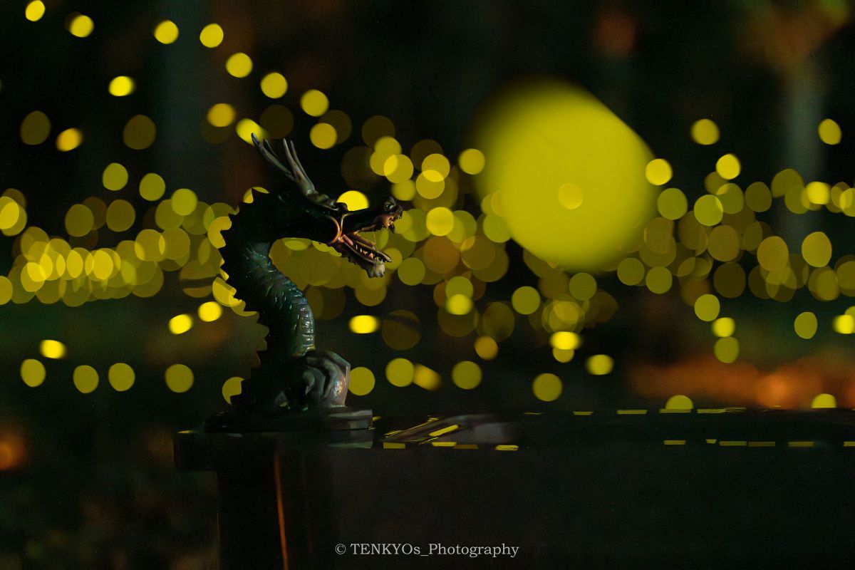 ヒメボタル DRAGON | GANREF