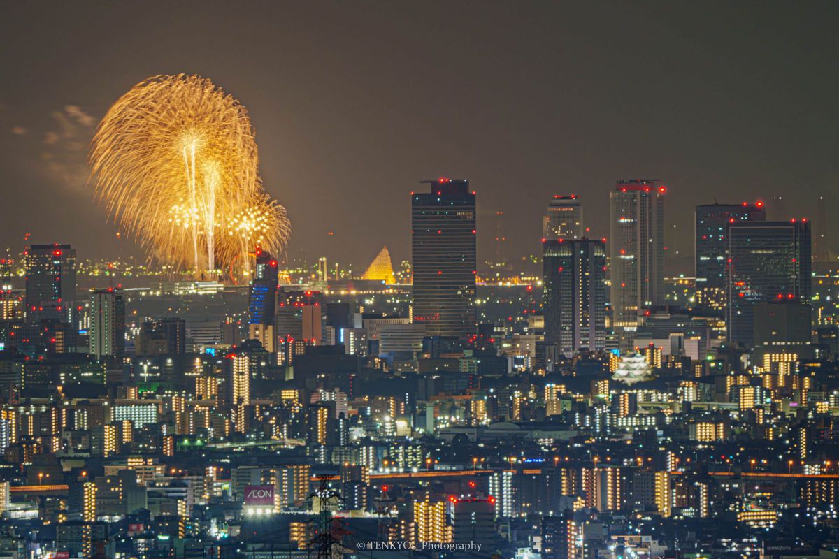 2025ナガシマ New Year’s Party花火 | GANREF