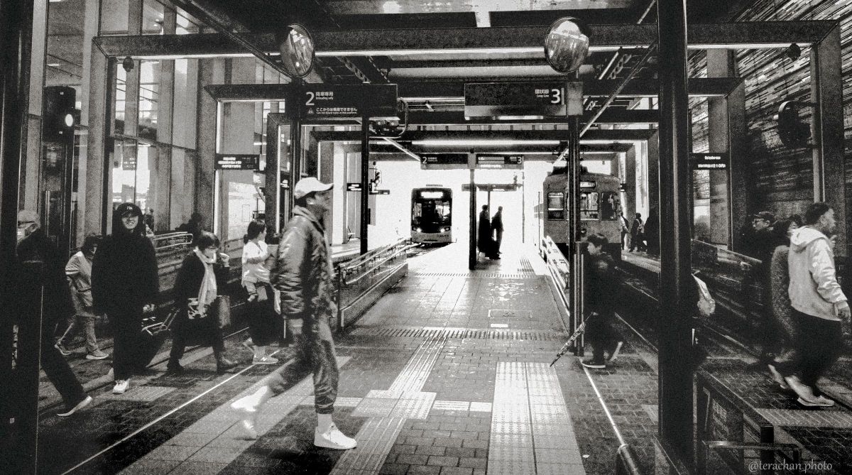 Human Crossing 人間交差点 | GANREF