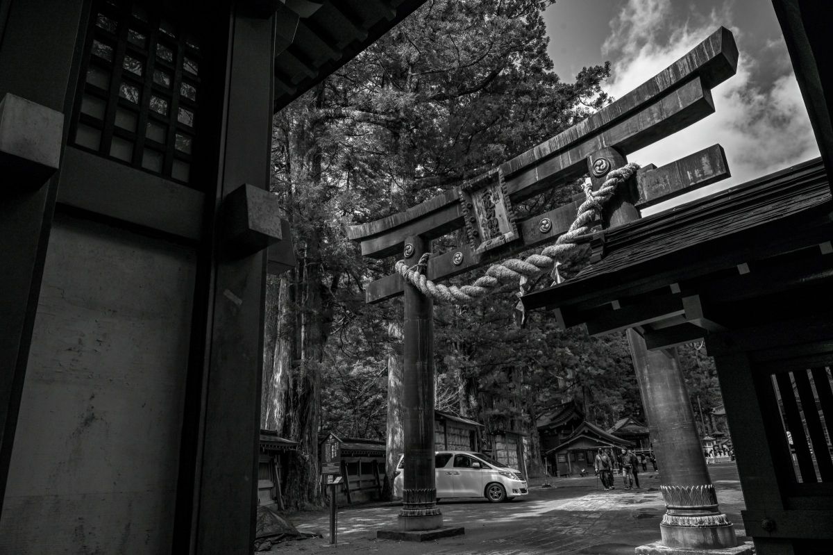 Z8＋大三元レンズ 機材レビュー4 NIKKOR Z 24-70mm f/2.8 S | GANREF