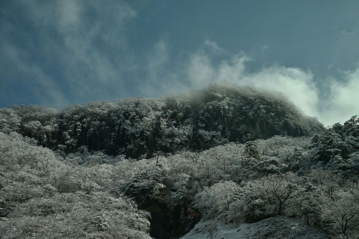 Z8＋大三元レンズ【風景・星景編】機材レビュー3 セミナー撮影会 | GANREF