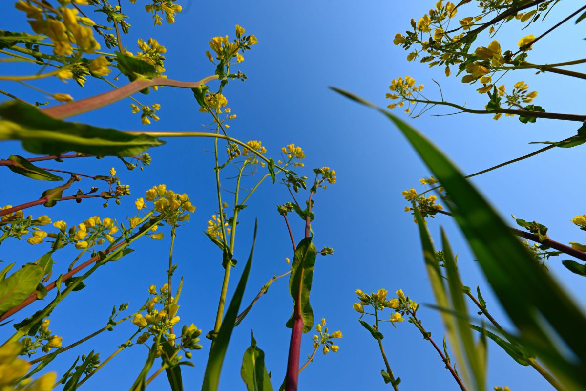 Z8＋大三元レンズ【風景・星景編】1 | GANREF