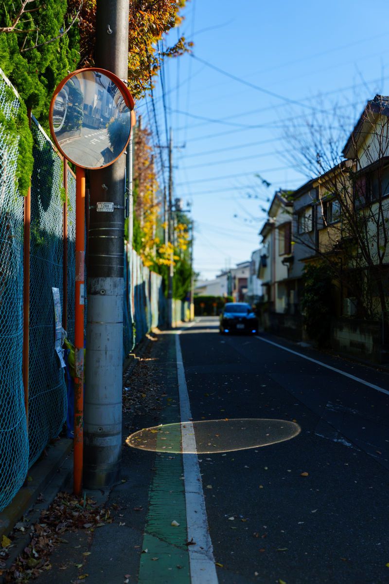 PIC20241214_1153_041_DSC01901-強化-NR.jpg | GANREF