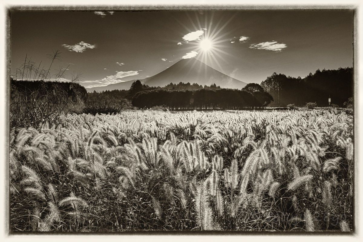 ノスタルジー | GANREF